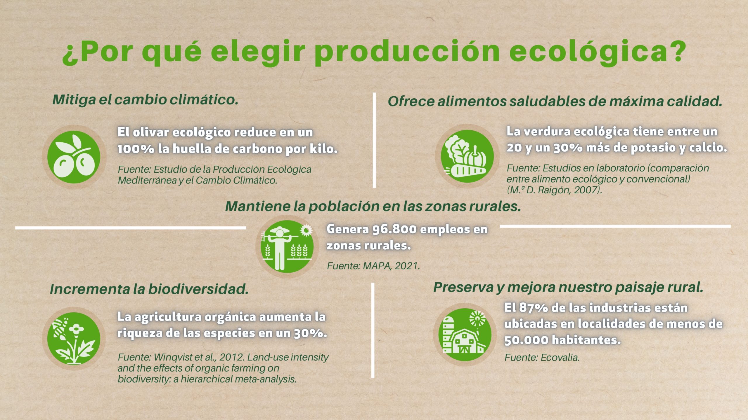Productos eco-friendly: qué son y cuáles son sus beneficios? - Mi Dulce ...